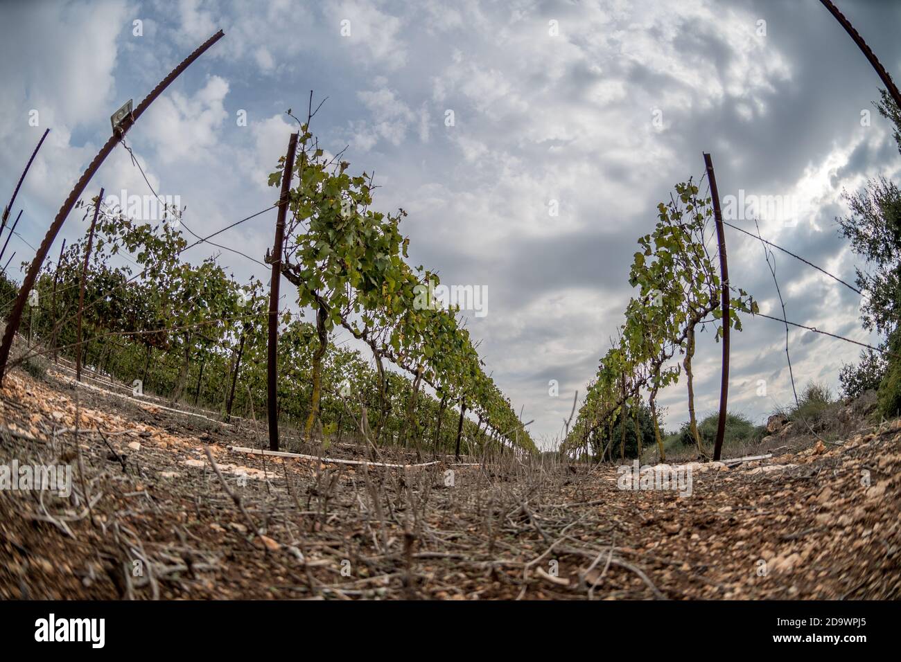 Jerusalem countryside hi-res stock photography and images - Alamy