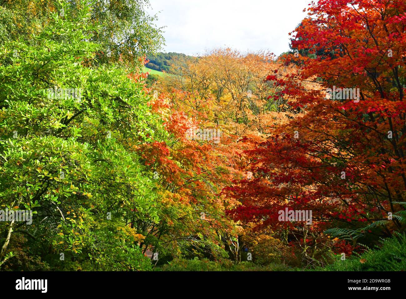 Colours of britain hi-res stock photography and images - Alamy