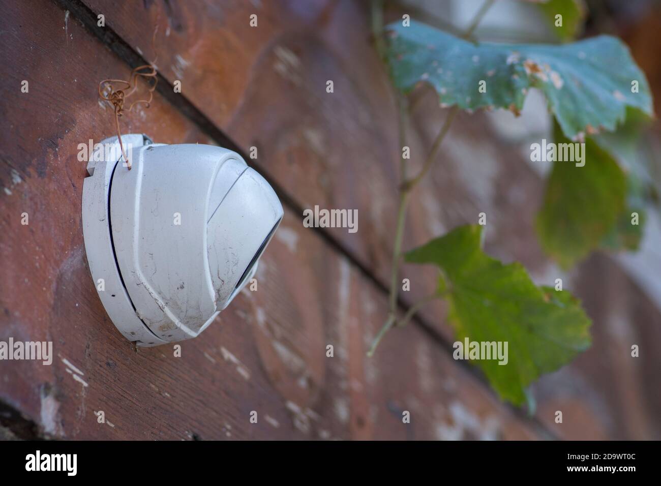 Side view of a security camera attached to a wooden wall Stock Photo ...