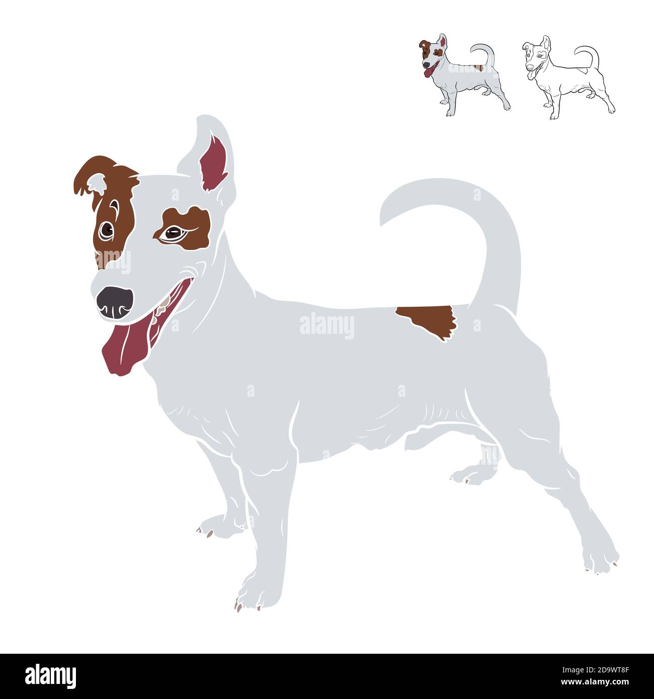 Adorable Jack russell terrier dog isolated on white background. vector ...