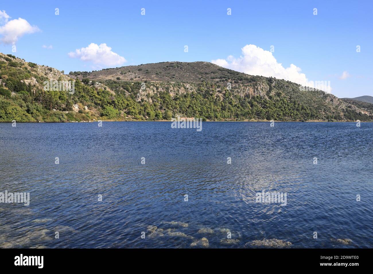 Koutavos Lagoon is located on the Greek island of Kefalonia. The lagoon ...