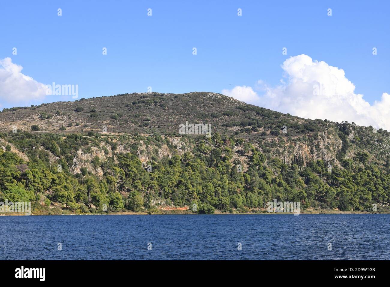 Koutavos Lagoon is located on the Greek island of Kefalonia. The lagoon ...