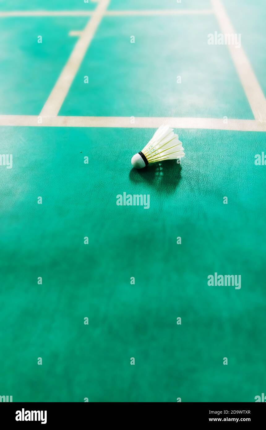 badminton courts with shuttlecocks in the foreground Stock Photo - Alamy