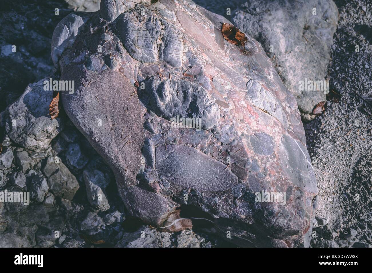 Abstracts from nature hi-res stock photography and images - Alamy