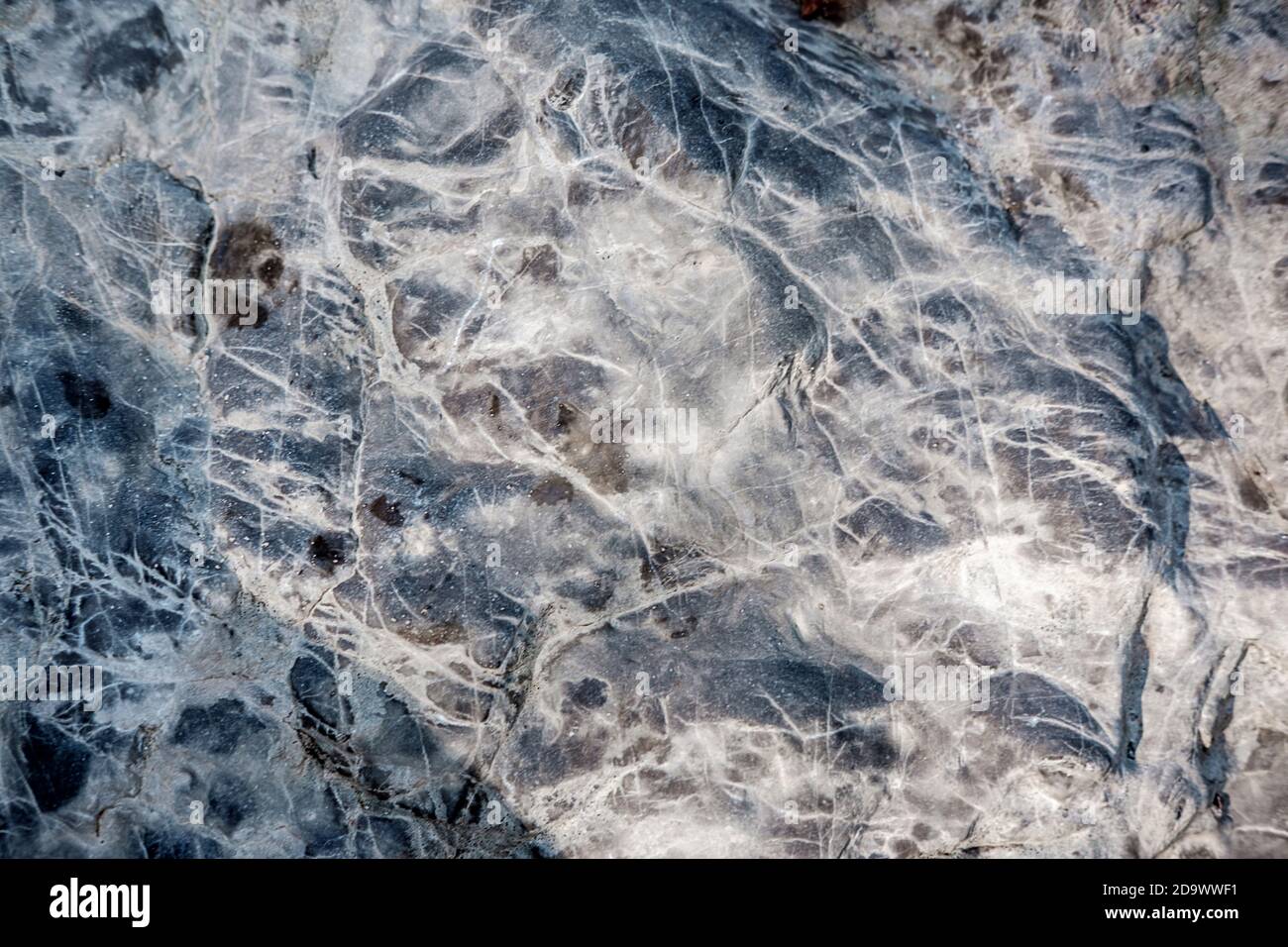 Abstracts from nature Stock Photo - Alamy