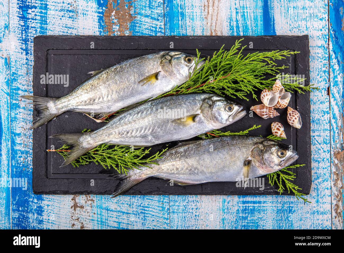 Raw Bluefish High Resolution Stock Photography and Images - Alamy