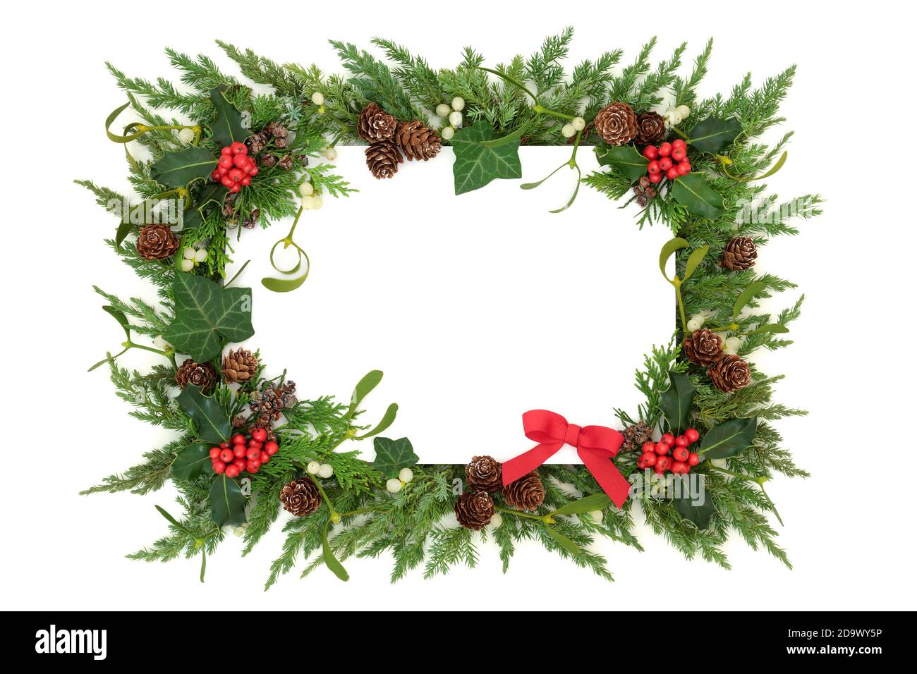 Traditional winter solstice, Christmas & New Year greenery border with ...