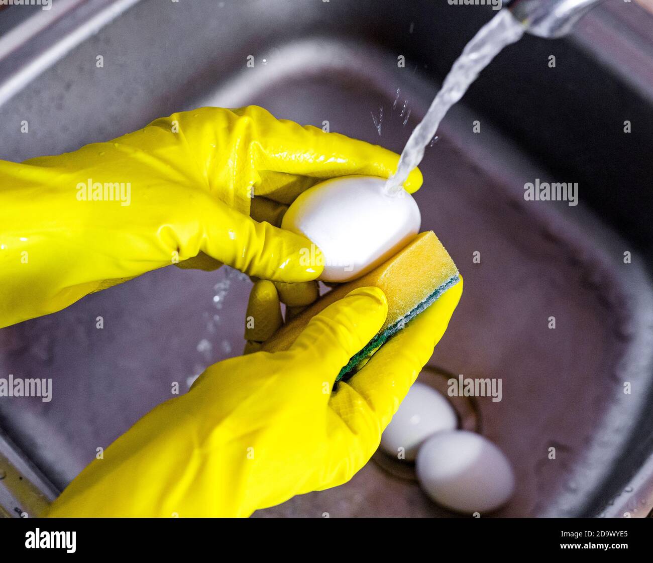 Washing fresh eggs in the kitchen sink using gloves and a sponge for ...