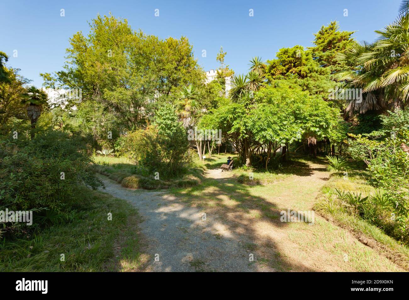 Three paths diverge in different directions Stock Photo - Alamy