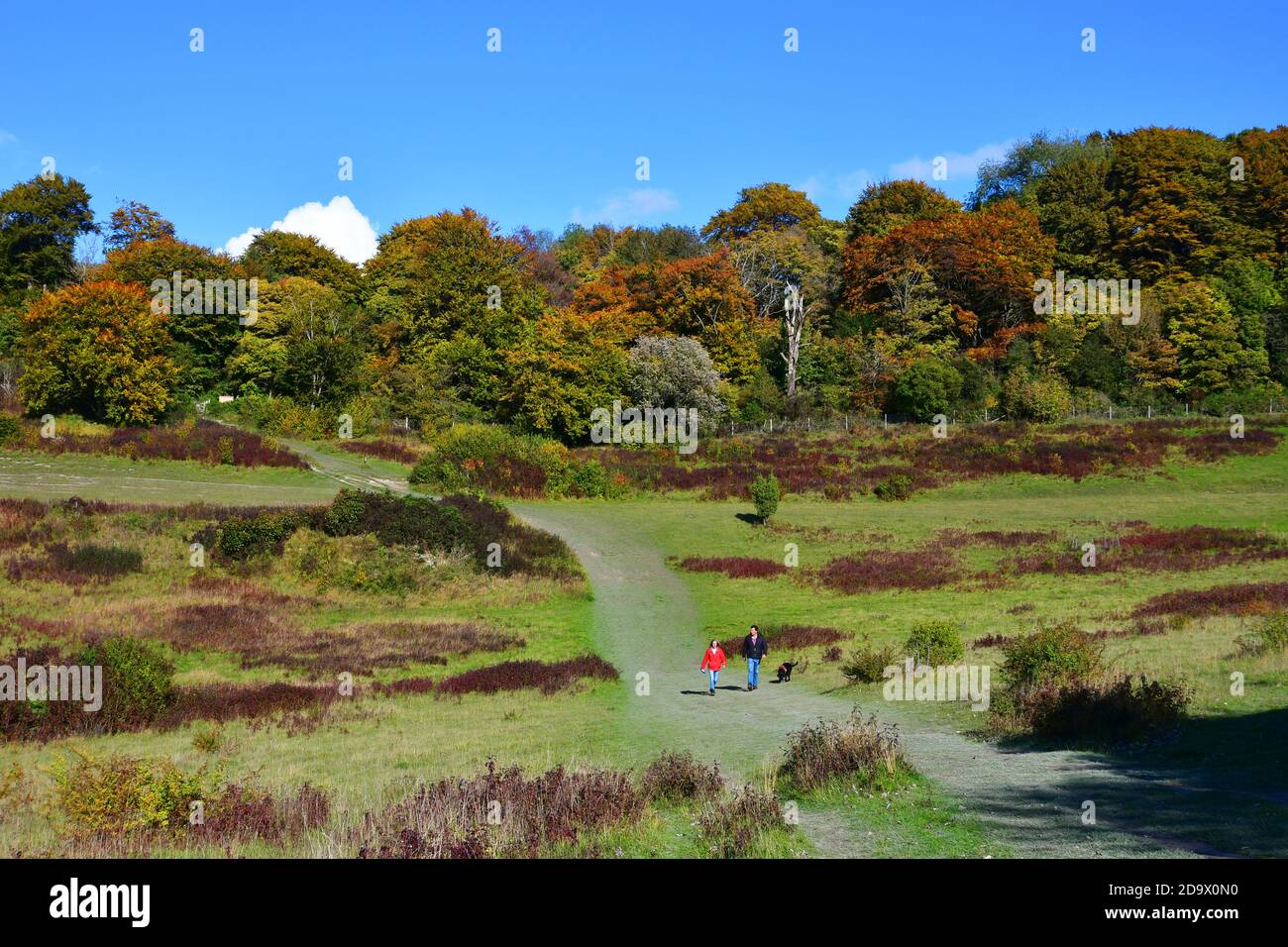 Old rifle range hi-res stock photography and images - Alamy