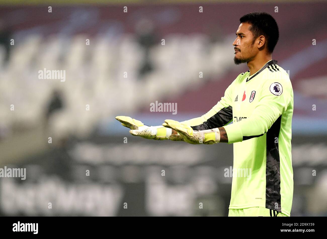 Fulham goalkeeper Alphonse Areola during the Premier League match at ...