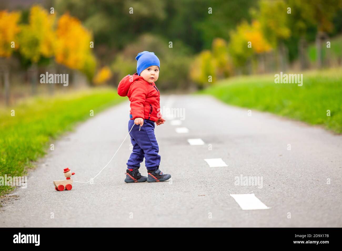 Playful duckling hi-res stock photography and images - Alamy