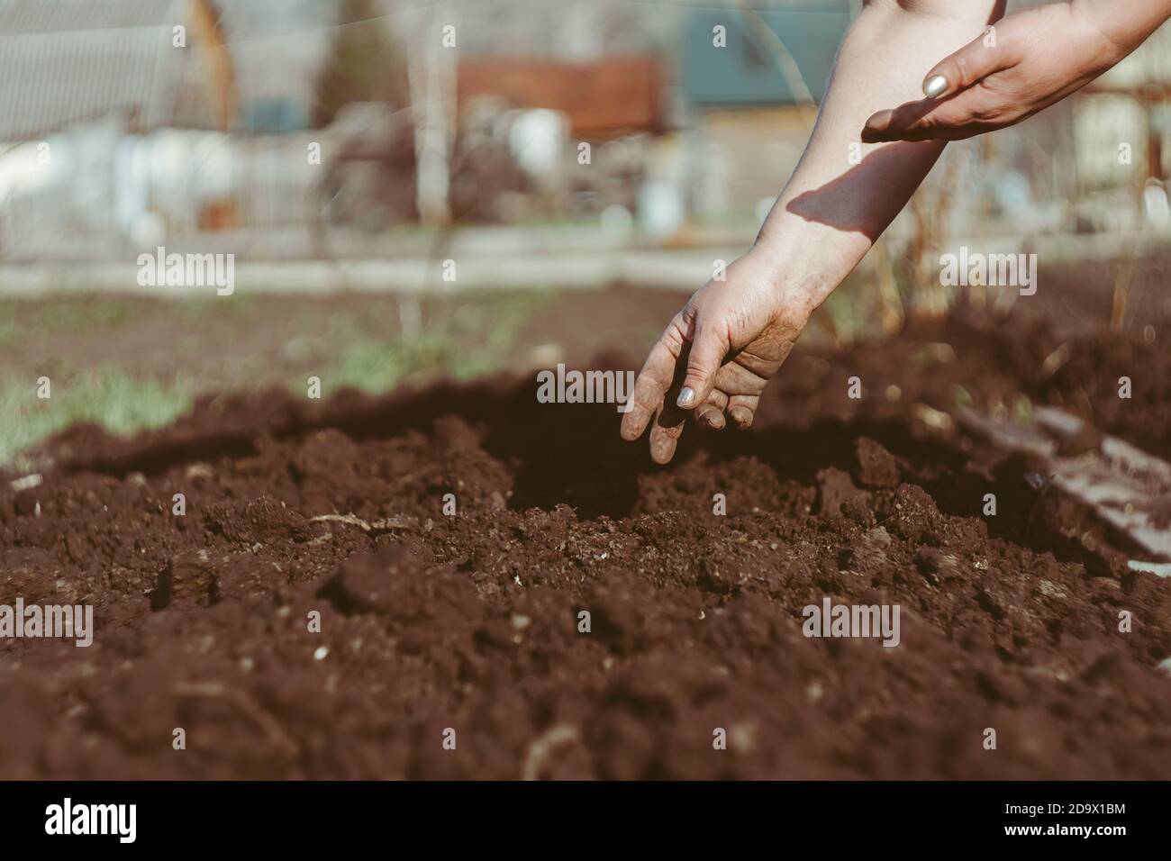 planting seeds in the ground Stock Photo - Alamy