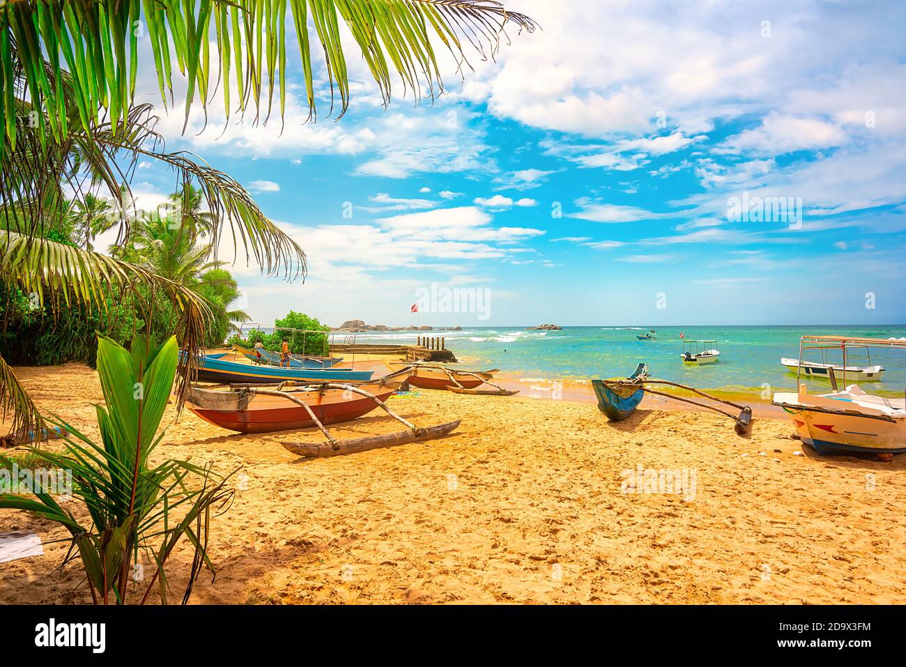 Sandy beach with green palm trees near ocean Stock Photo - Alamy