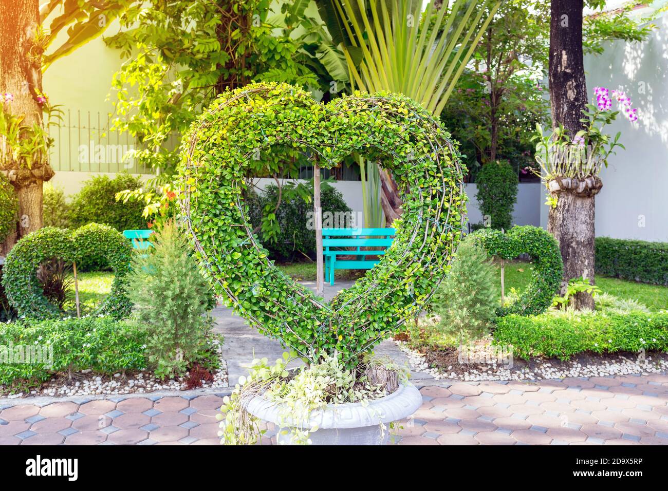 Heart tree bending in the park Stock Photo - Alamy