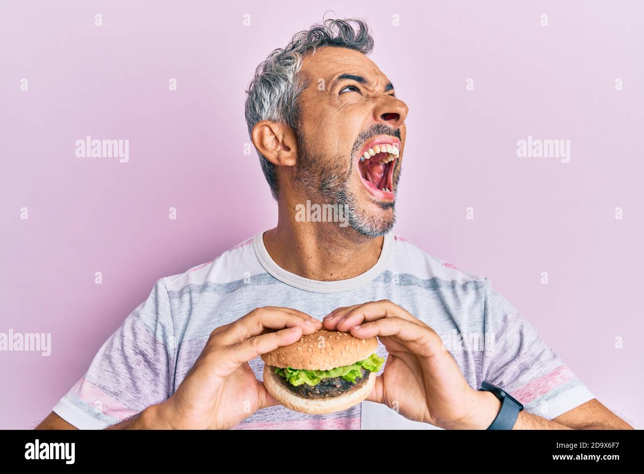 Middle age grey-haired man eating a tasty classic burger angry and mad ...