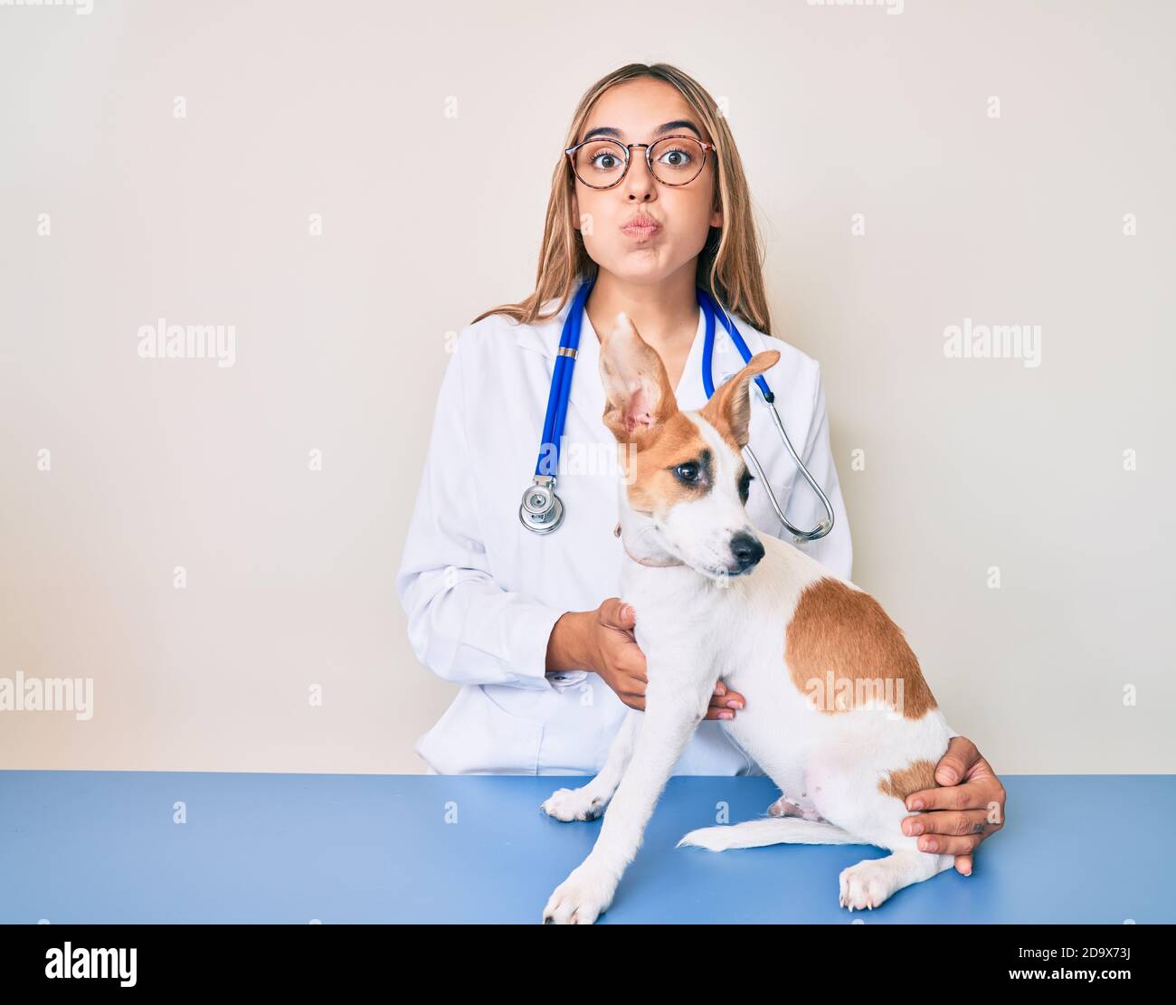 Young beautiful blonde veterinarian woman checking dog health puffing ...