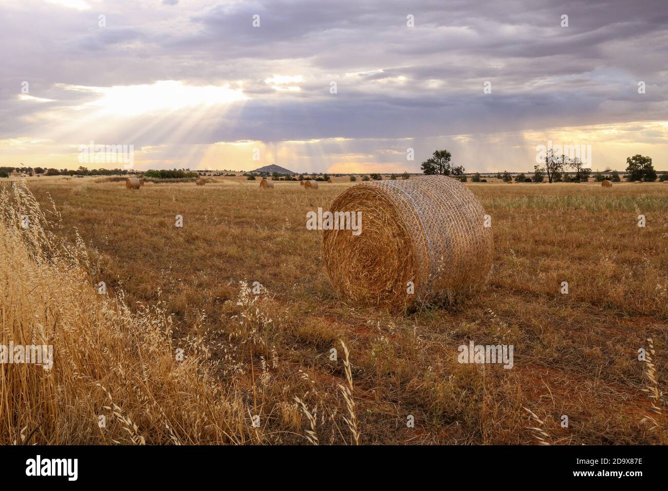 Shot from a hayfield Stock Photo - Alamy