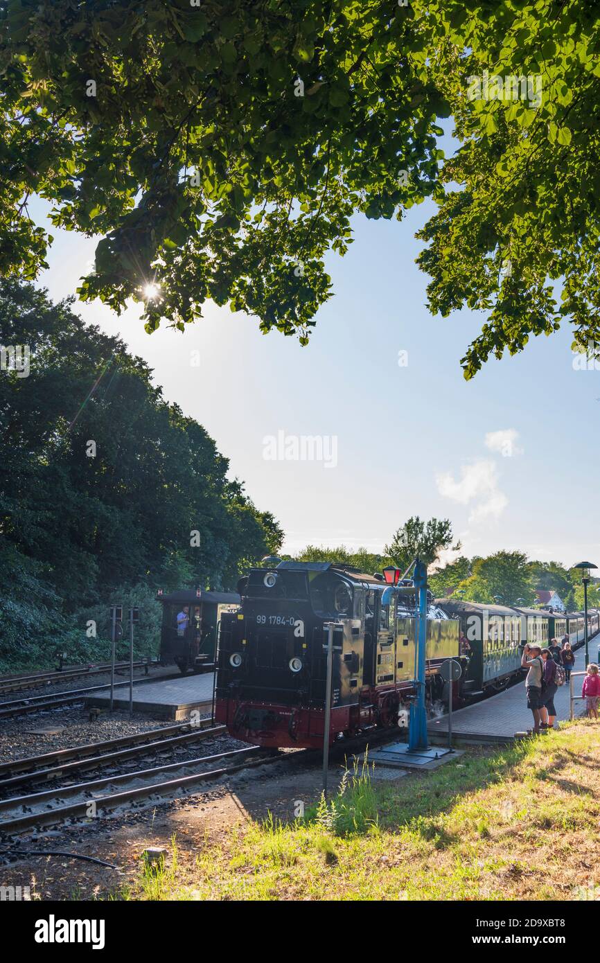 Binz: Rügen narrow-gauge railway (Rügensche Bäderbahn), nicknamed ...