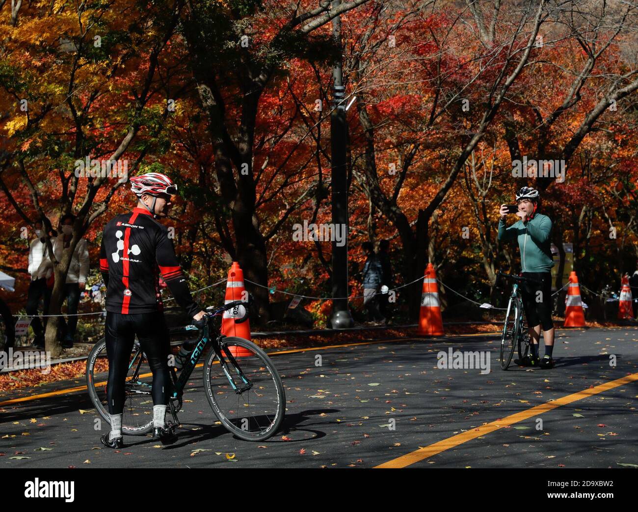 Jeongeup, South Korea. 8th Nov, 2020. Cyclists take pictures near maple ...