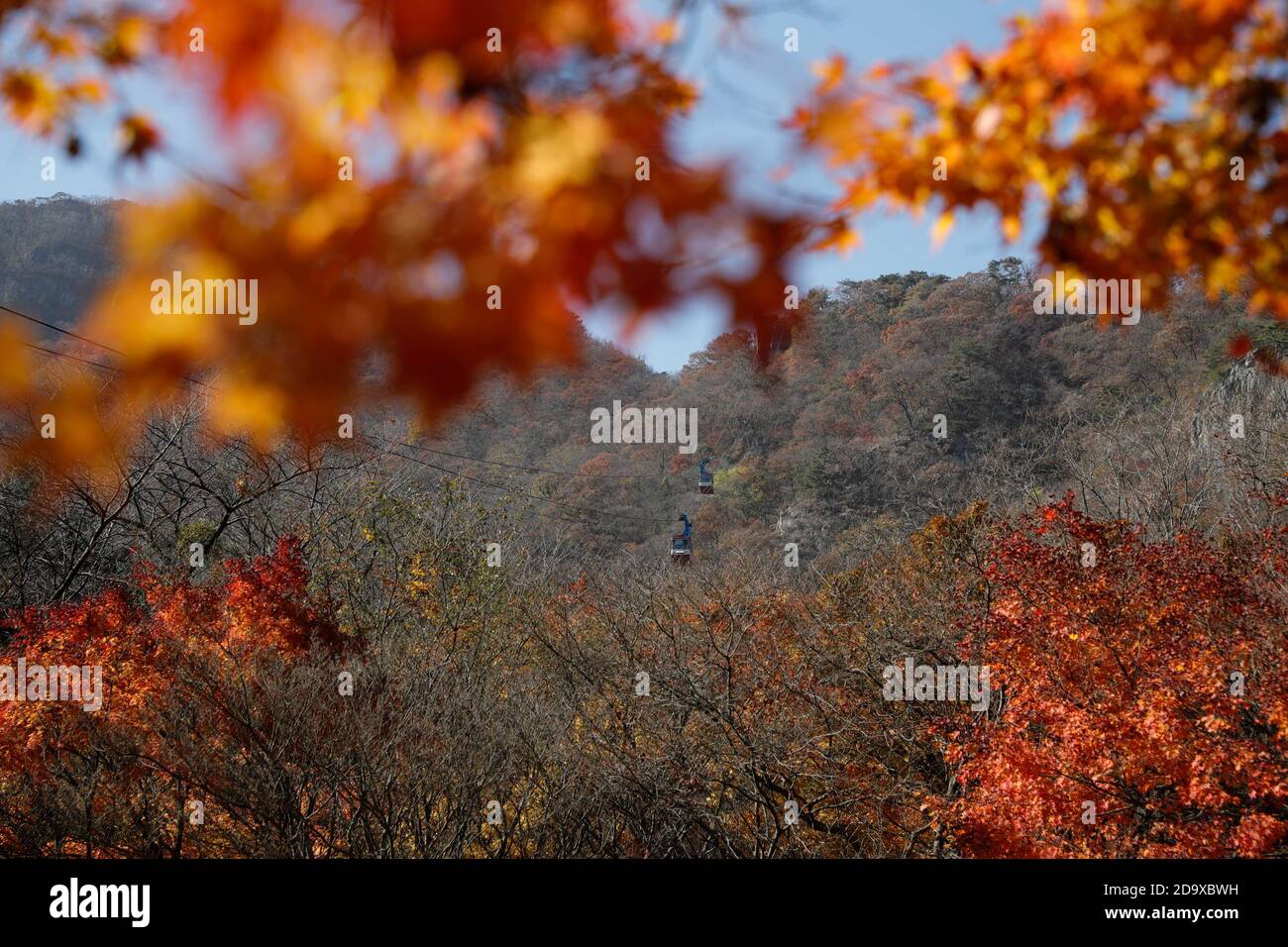 Jeongeup, South Korea. 8th Nov, 2020. Tourists take cables cars to ...