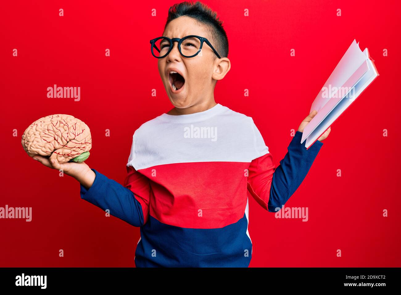 Little boy hispanic kid holding brain studying for school angry and mad ...