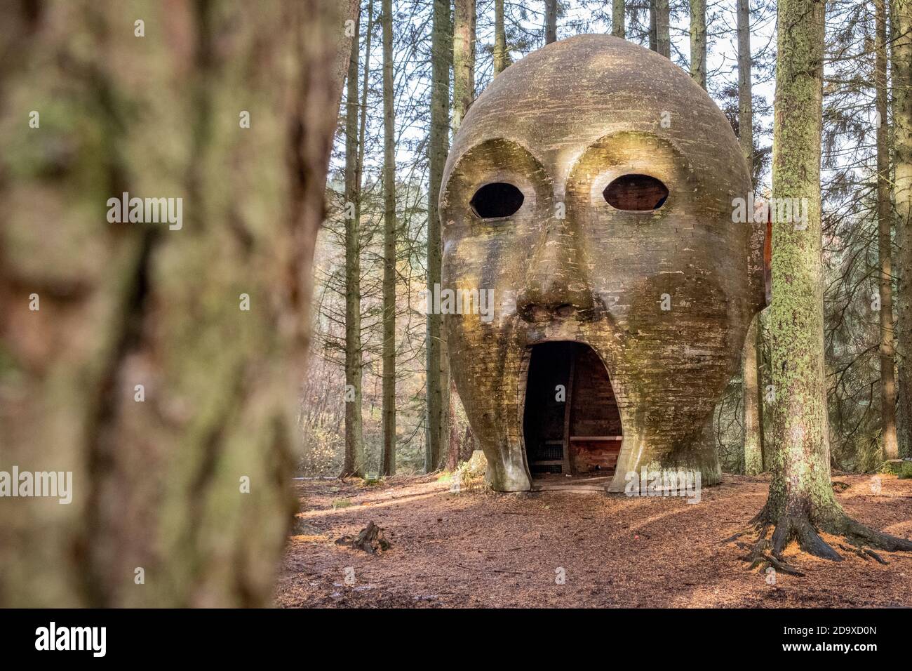 Kielder silvas capitalis hi-res stock photography and images - Alamy
