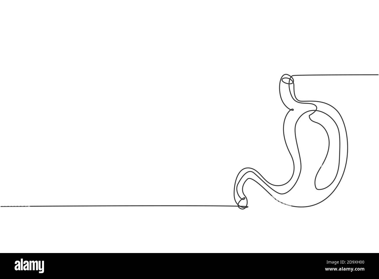 One continuous line drawing of anatomical human stomach organ. Trendy ...