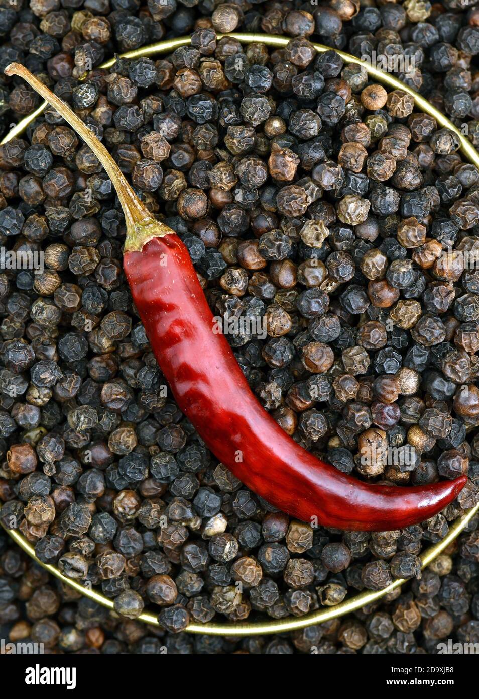 Close up one bowl full of black pepper peppercorns. Black pepper “king ...