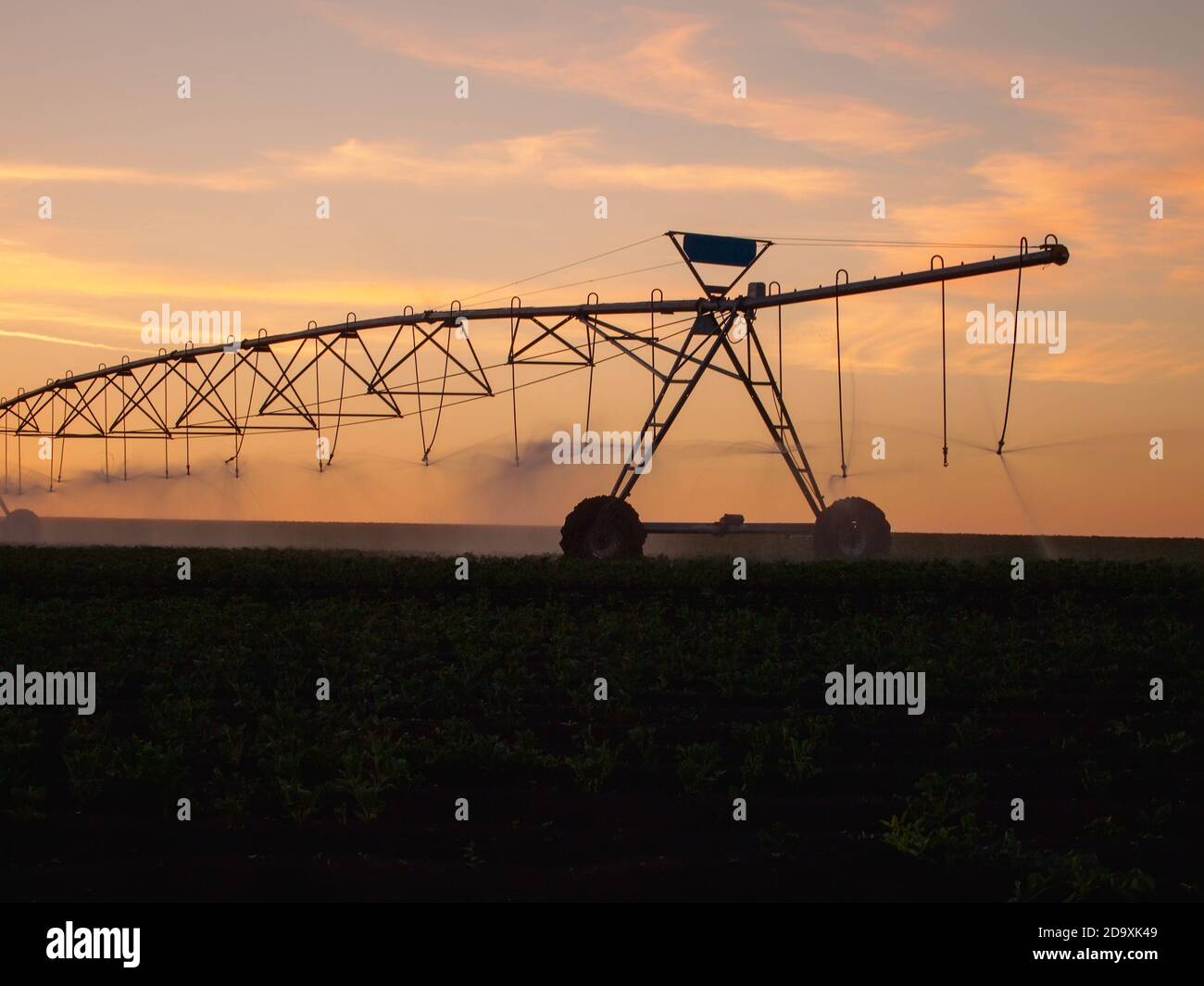 Center pivot irrigation system in the farm field at sunset Stock Photo ...
