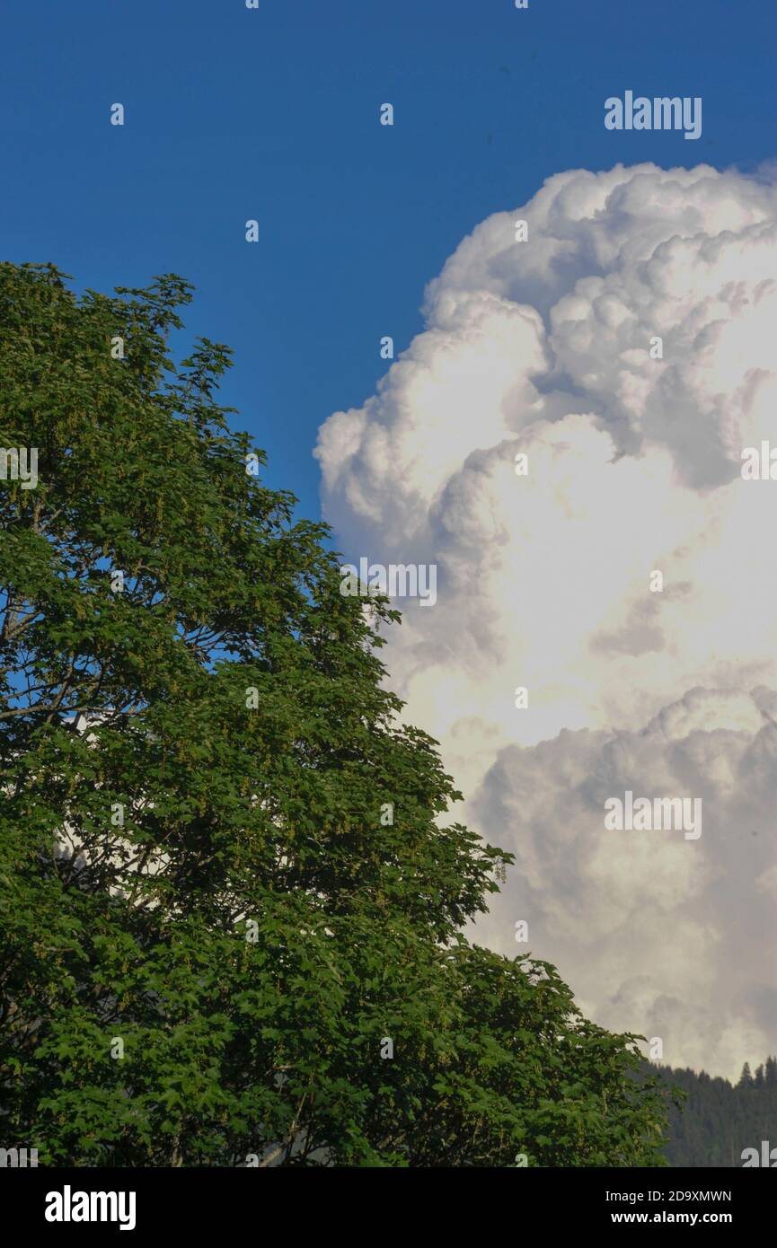 cloud formation in the sky, a weather phenomenon in meteorology Stock ...