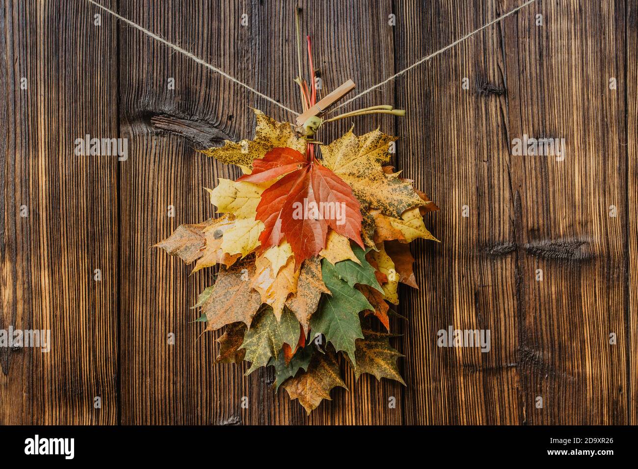 Leaves and beautiful leaves hi-res stock photography and images - Alamy