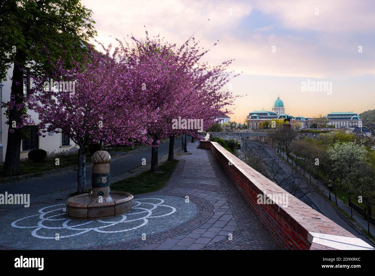 Europe Hungary Budapest. The famous Buda Castle Royal Palace on a ...