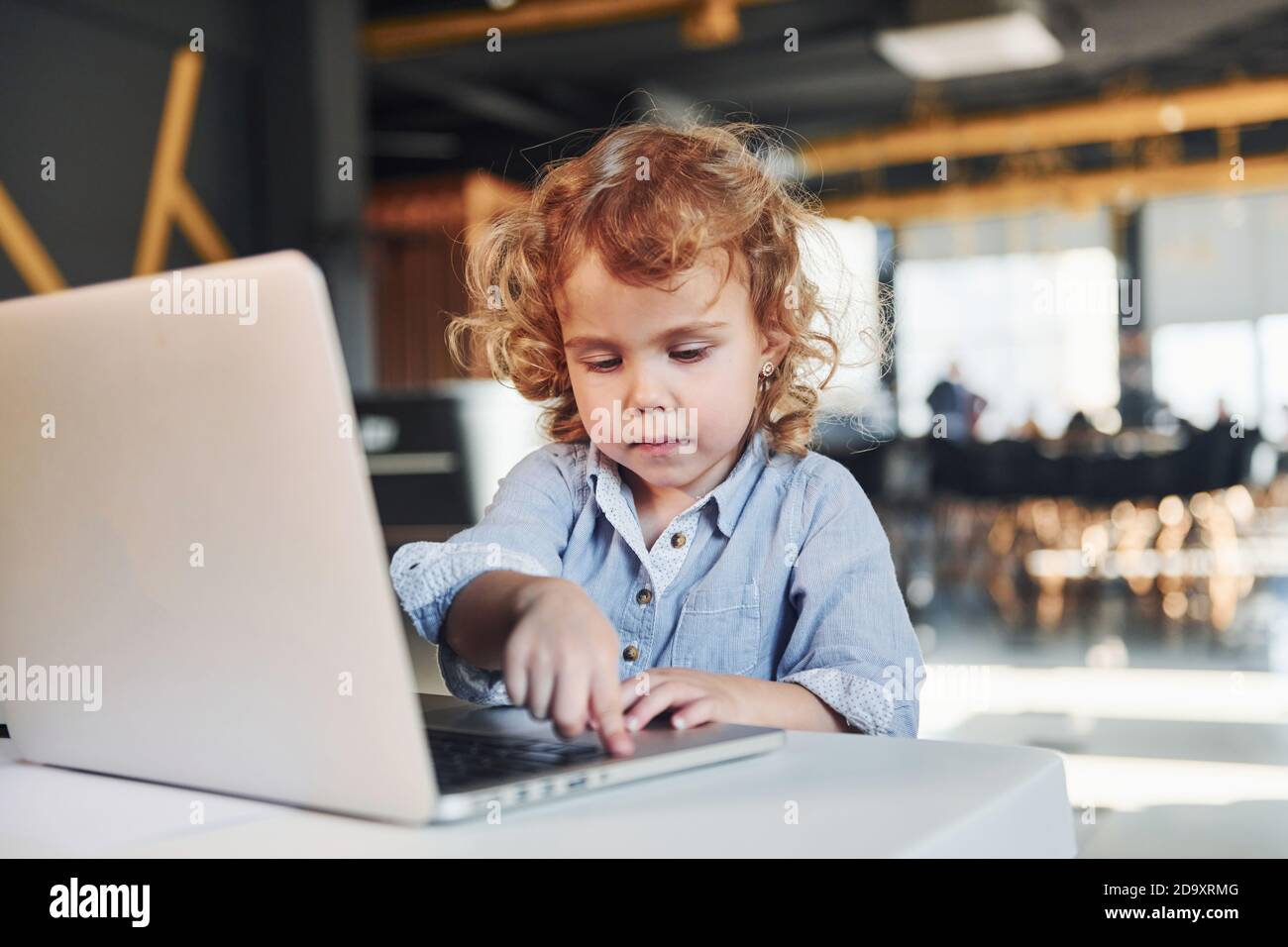 Smart child in casual clothes using laptop for education purposes or ...