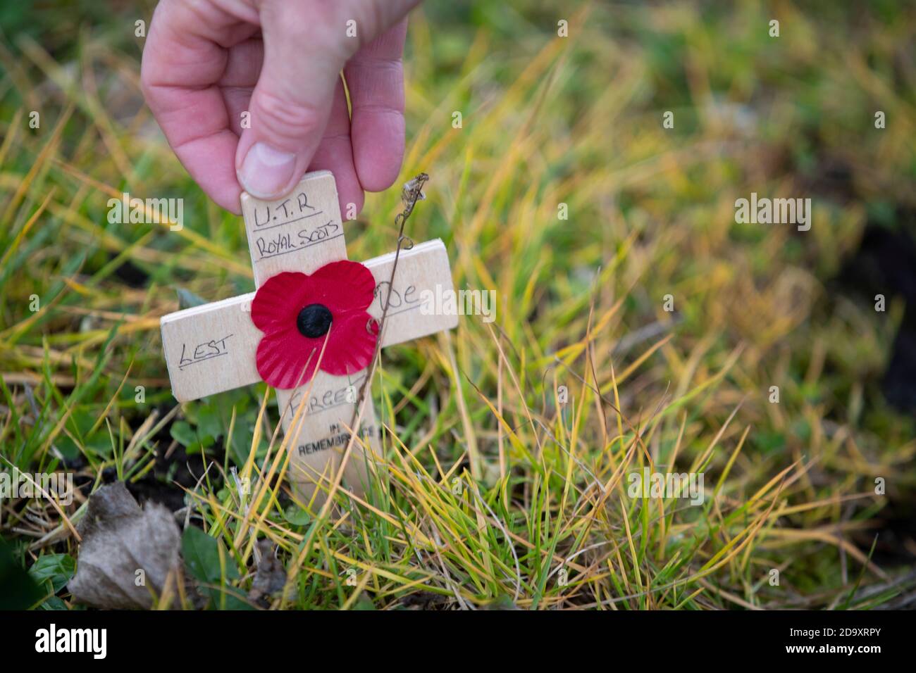 Inchyra park hi-res stock photography and images - Alamy