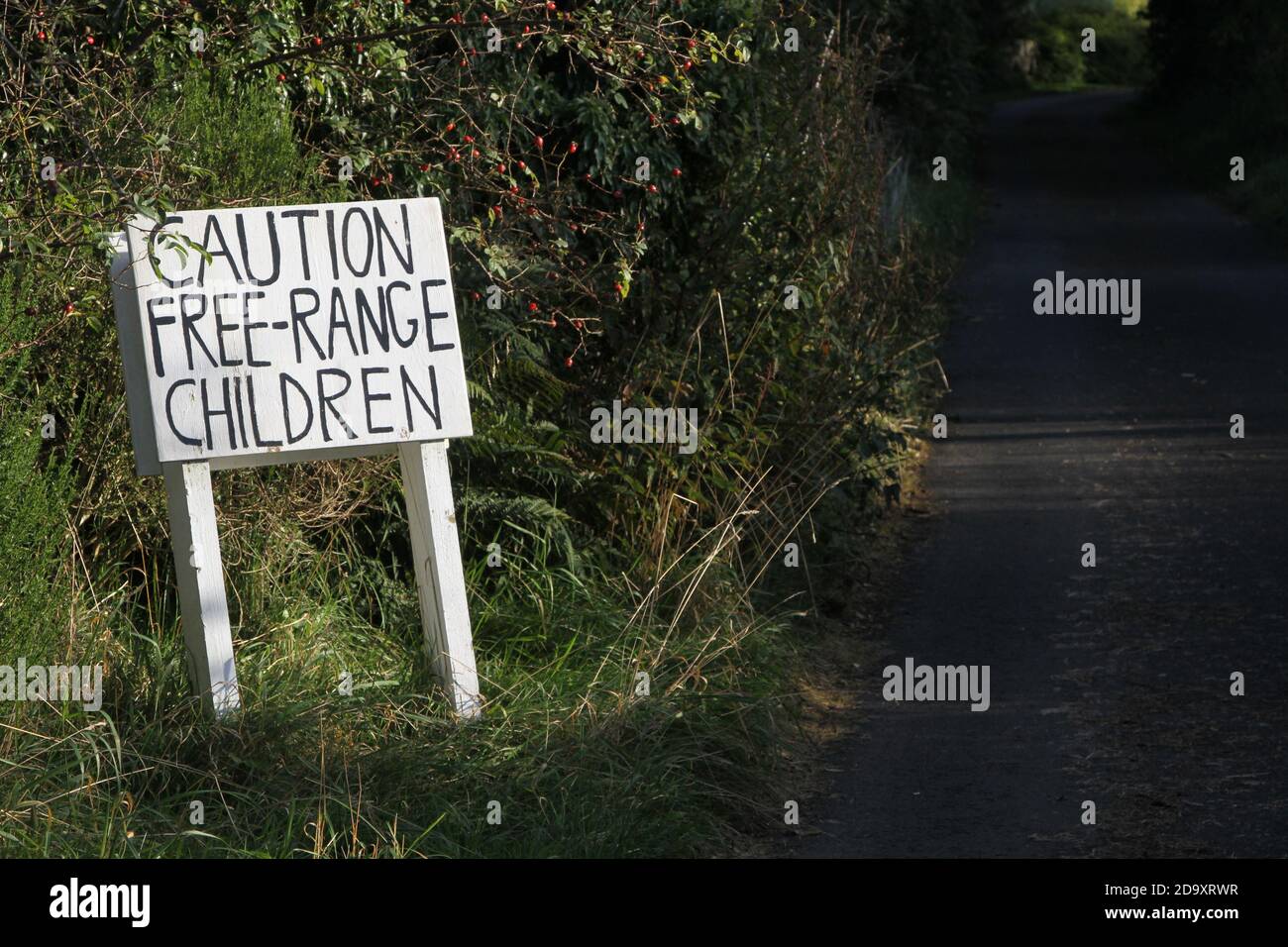 Straiton, Ayrshire, Scotland, UK Hand painted road sign reading Caution ...