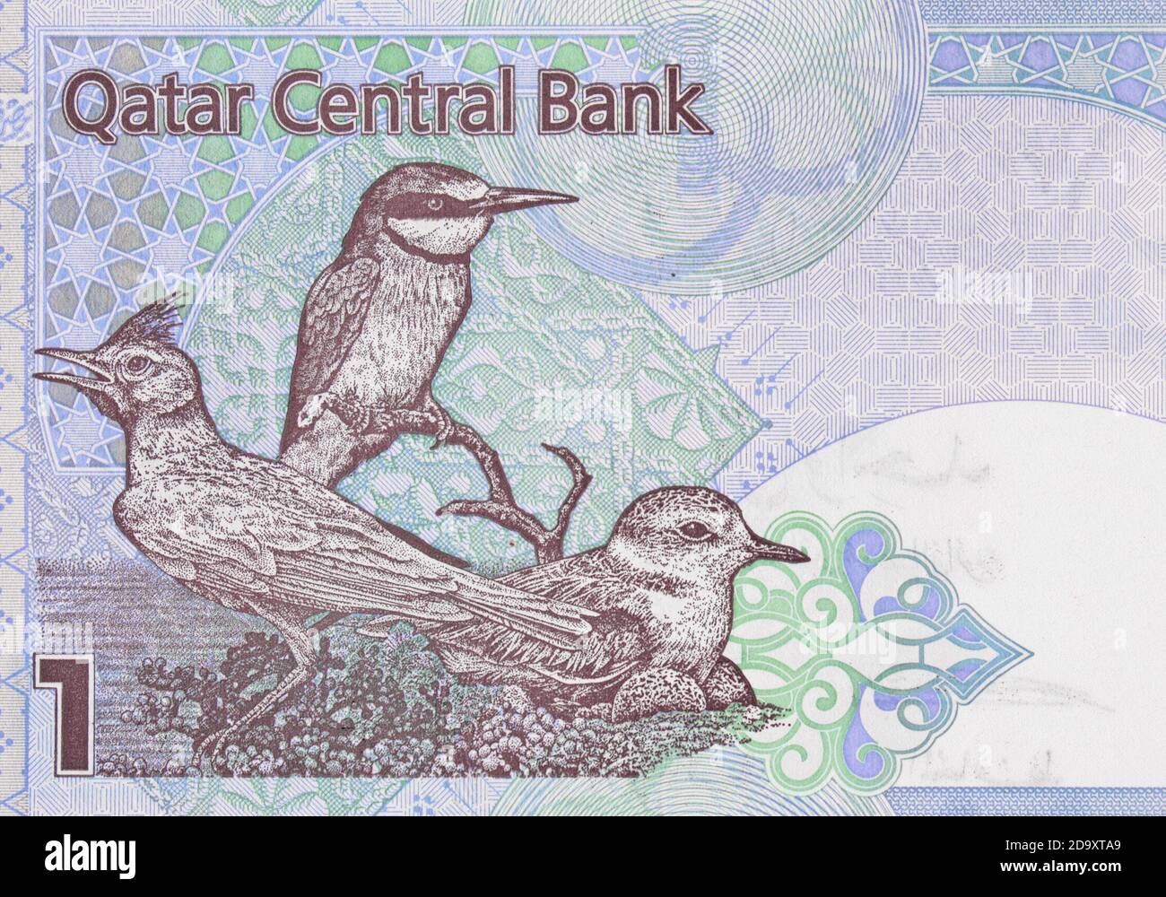 Qatari one riyal banknote closeup macro, Qatar money close up Stock ...