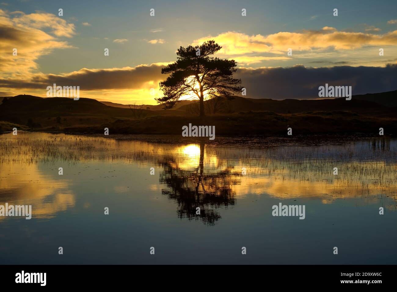 Kelly hall hi-res stock photography and images - Alamy