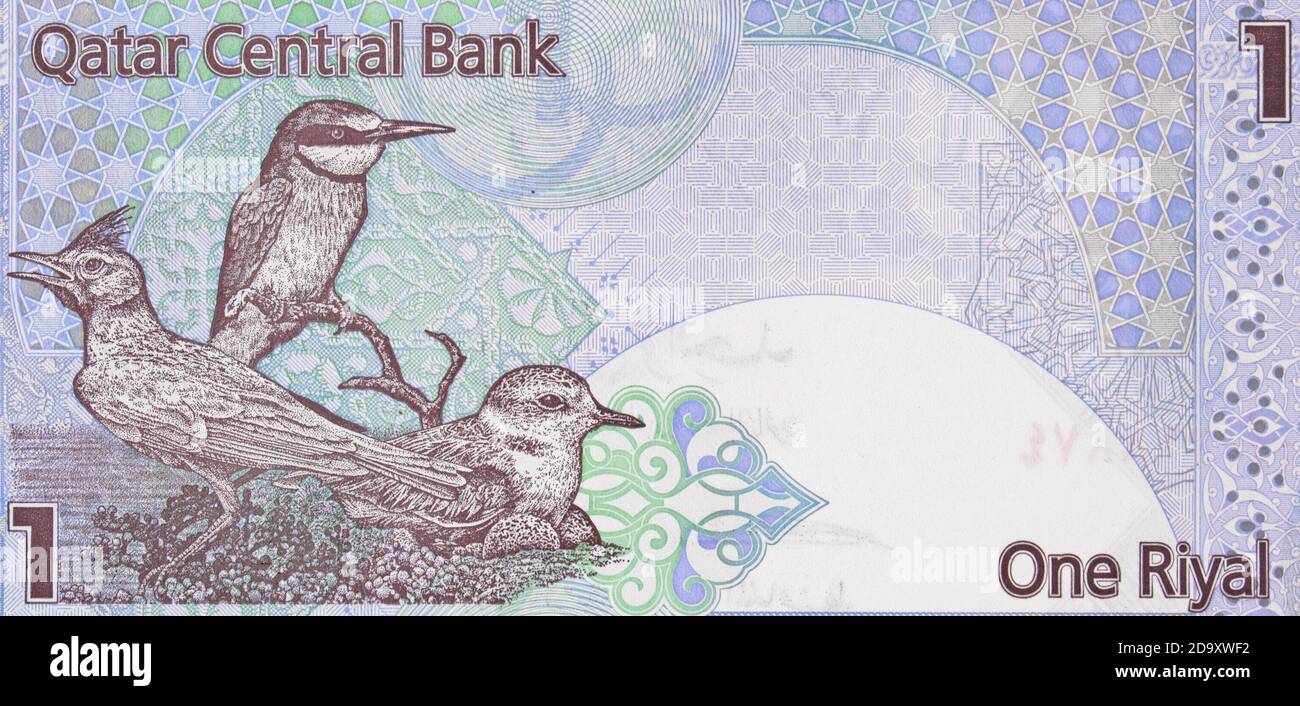 Qatar banknote riyal currency hi-res stock photography and images - Alamy