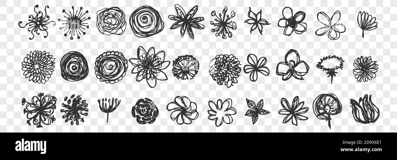 Hand drawn flowers doodle set Stock Vector Image & Art - Alamy
