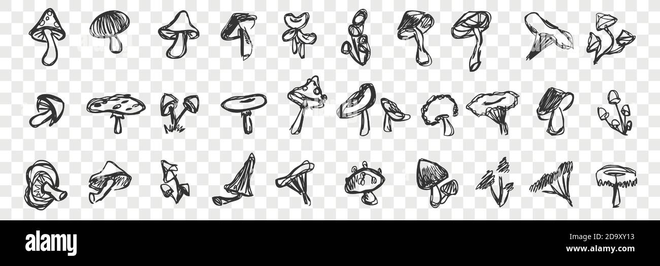 Hand drawn mushrooms doodle set Stock Vector Image & Art - Alamy