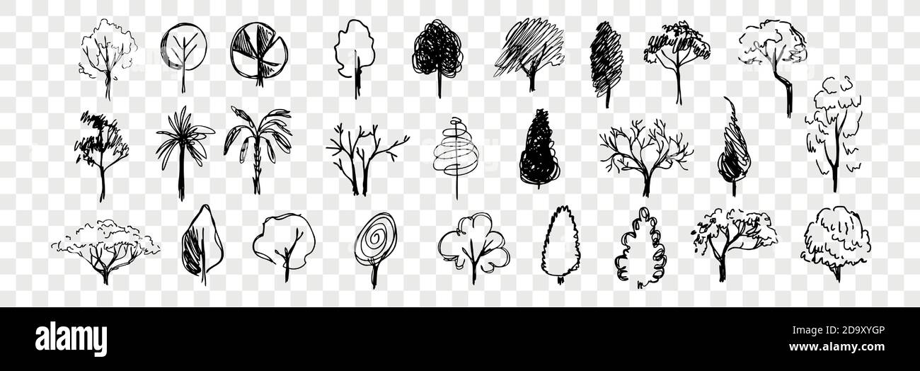 Hand drawn trees doodle set collection Stock Vector Image & Art - Alamy