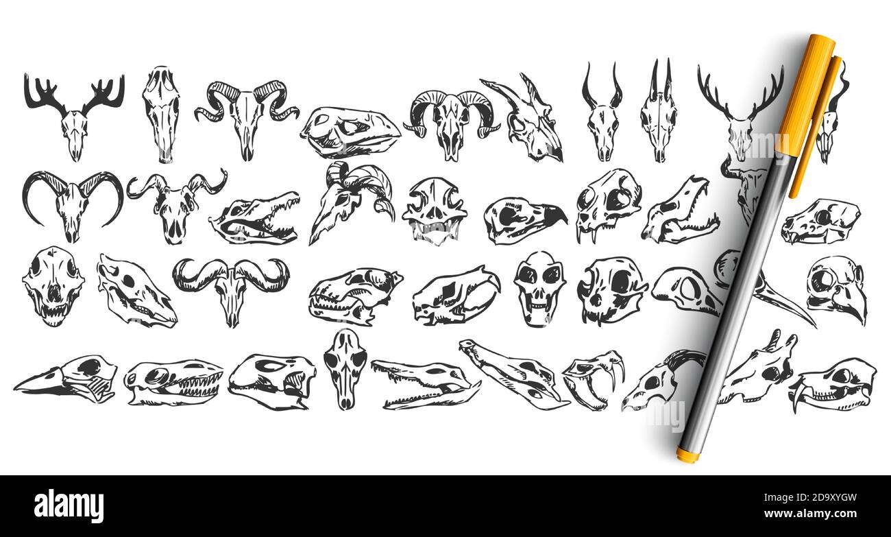 Skulls doodle set Stock Vector Image & Art - Alamy