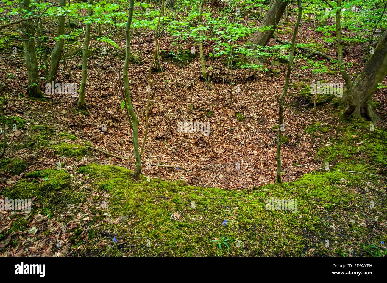 Probable backfilled shaft from an old coal mine in the centre of a ...
