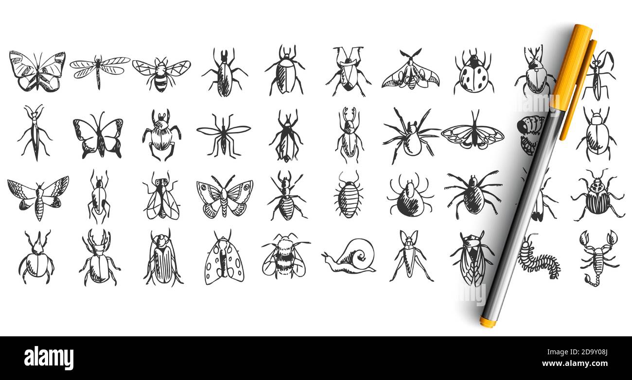 Insects doodle set Stock Vector Image & Art - Alamy