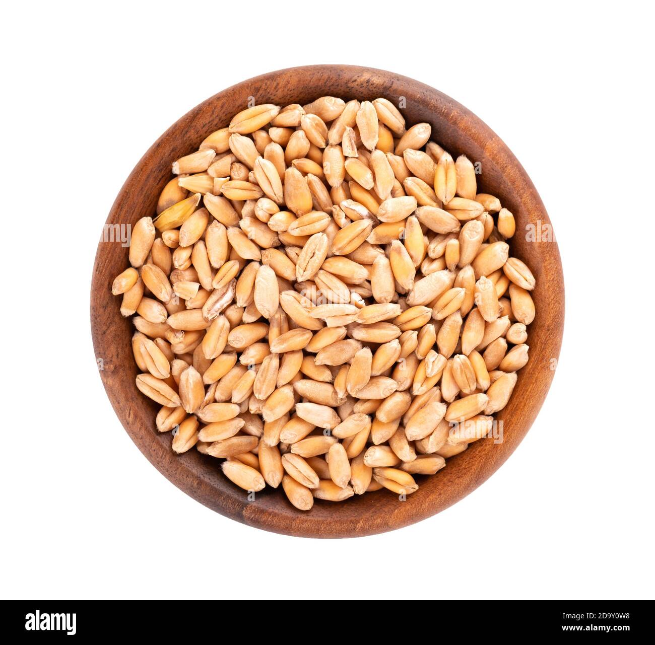 Wheat grains in wooden bowl, isolated on white background. Processed ...