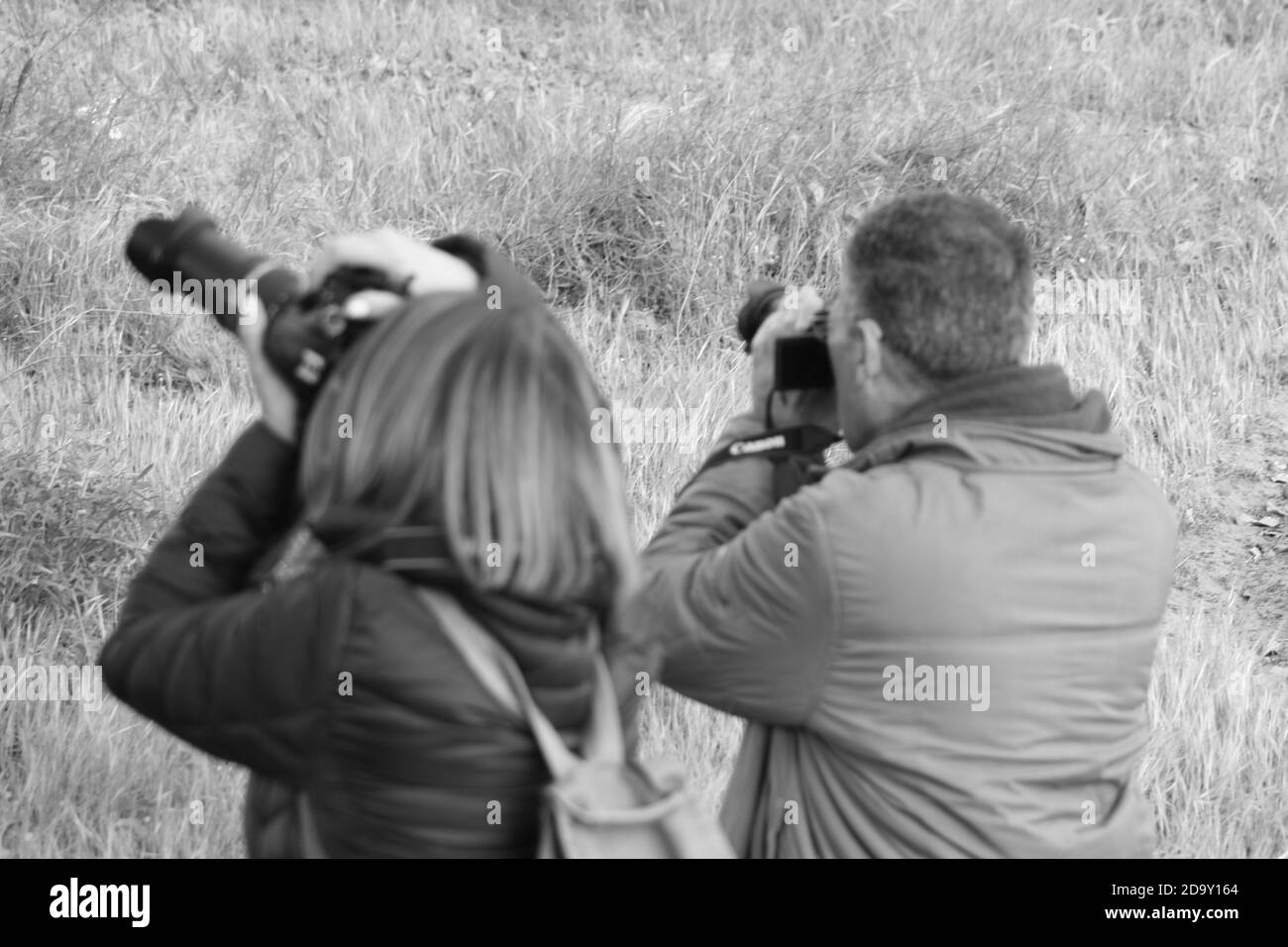 Photographer in action Stock Photo - Alamy