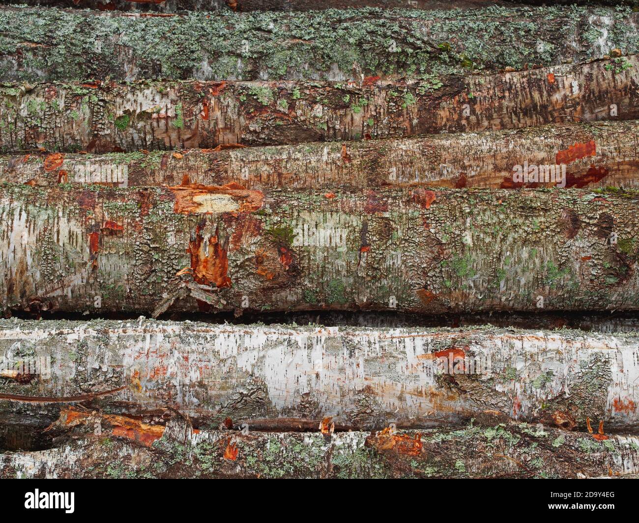 Wood timber pile, wooden lumber log background Stock Photo - Alamy