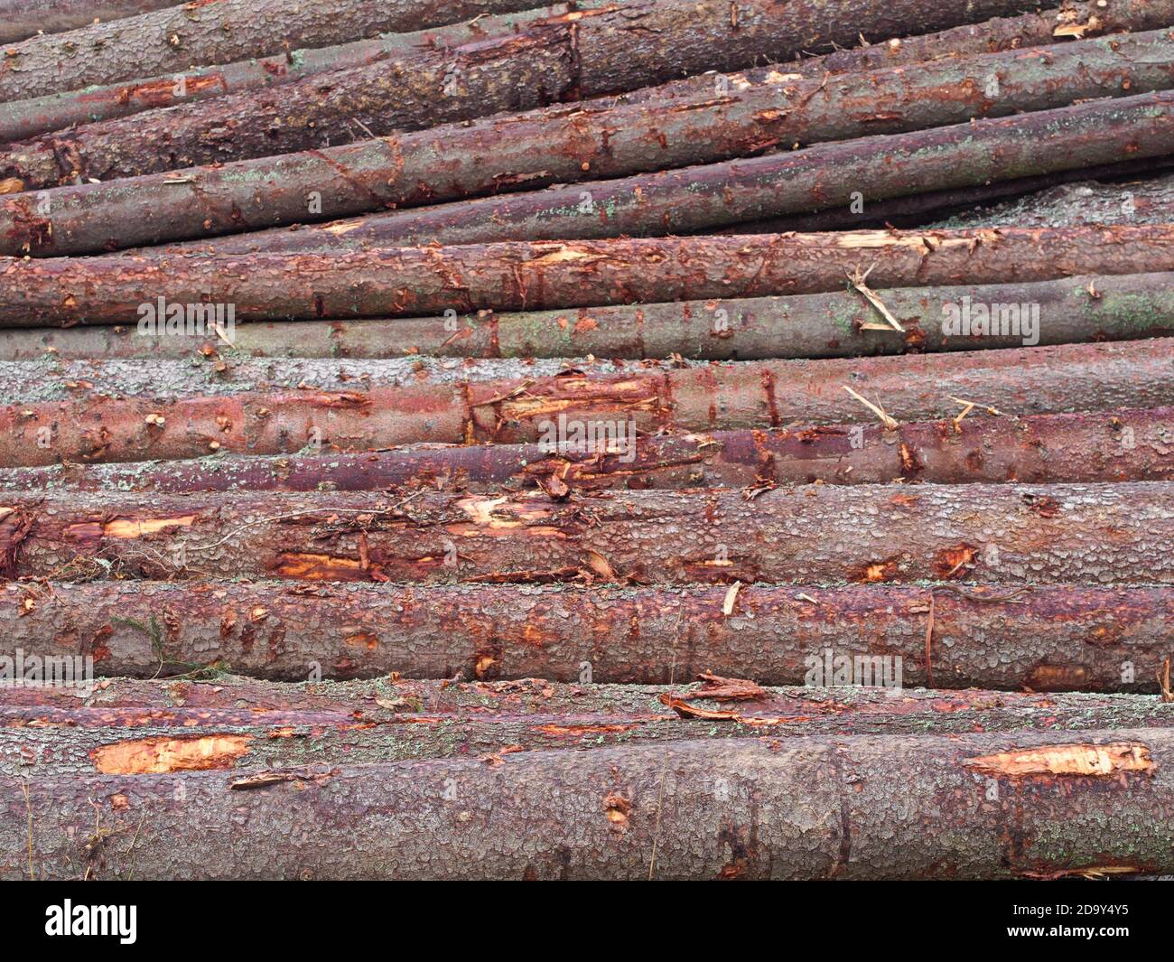 Wood timber pile, wooden lumber log background Stock Photo - Alamy