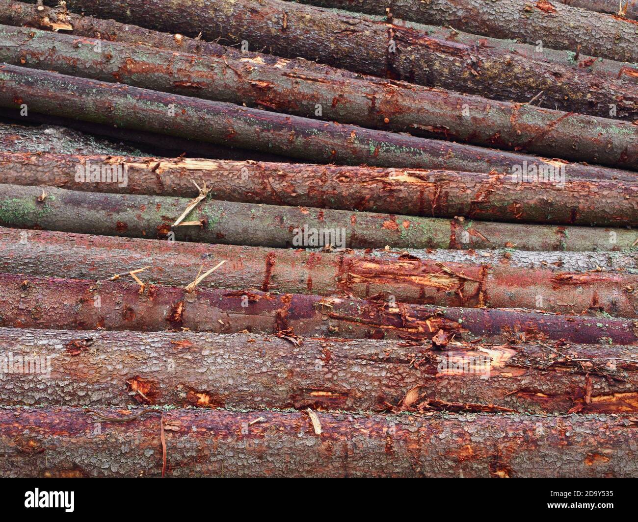 Wood timber pile, wooden lumber log background Stock Photo - Alamy